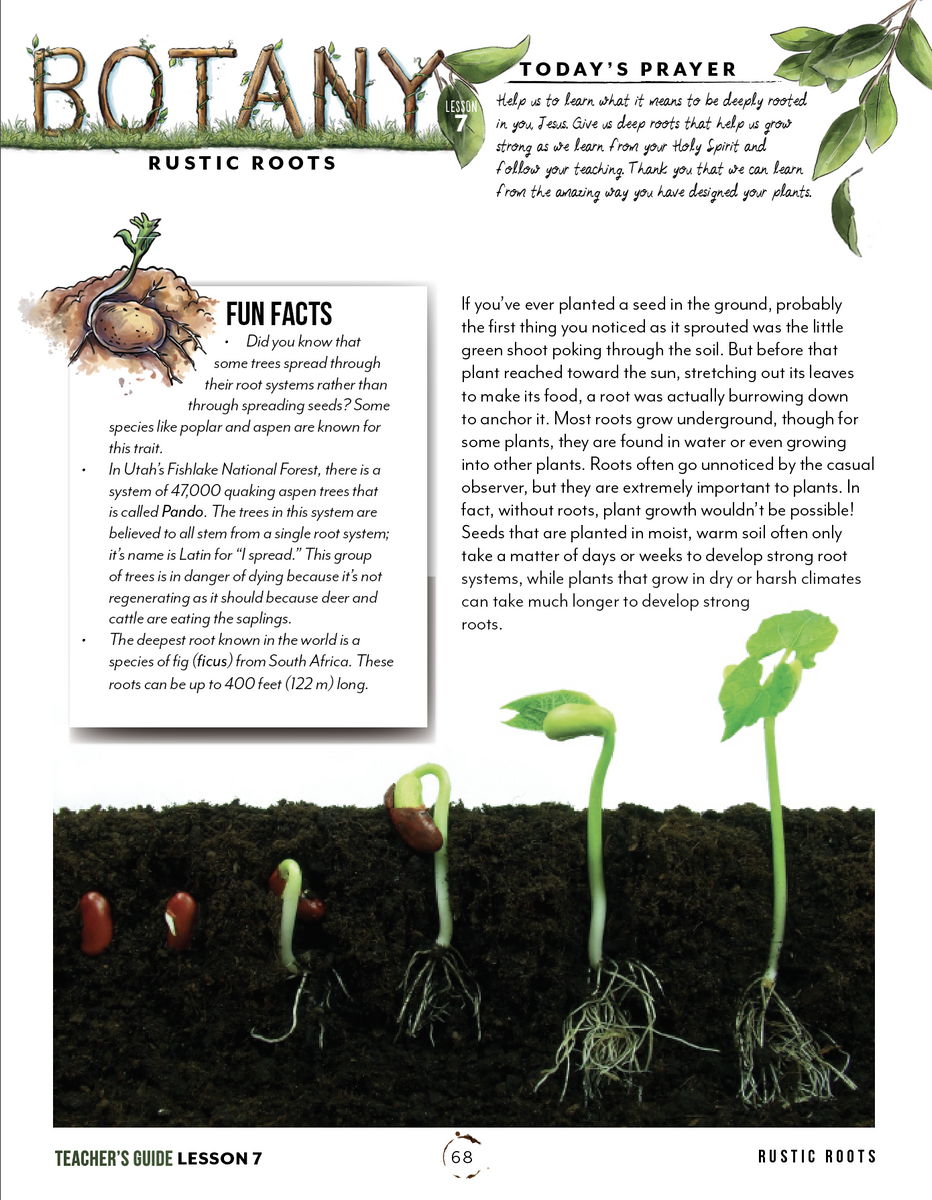 Botany Digital Bundles – Gather 'Round Homeschool