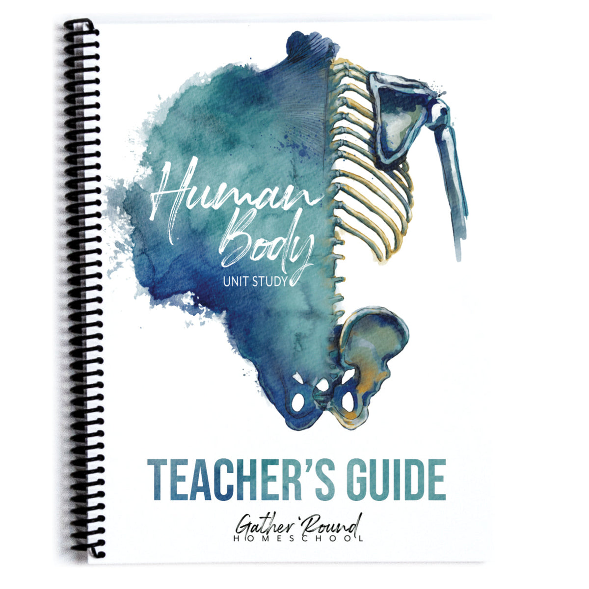 Human Body – Tagged "Compound Words"– Gather 'Round Homeschool