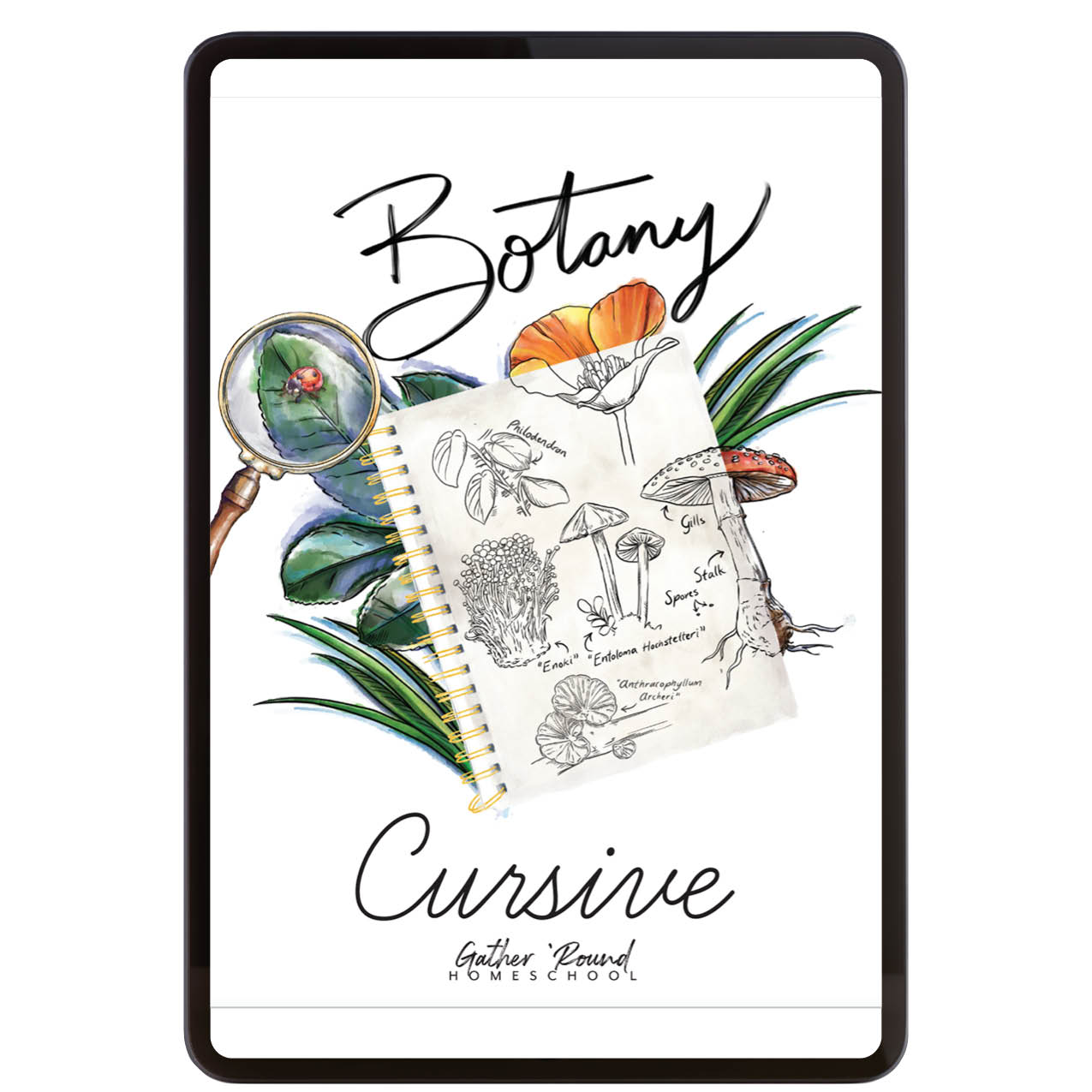 Botany Cursive Writing Digital Book – Gather 'Round Homeschool