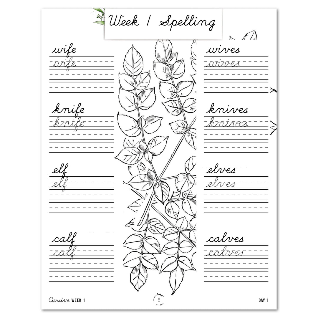 Botany Cursive Writing Book (Digital Download) – Gather 'Round Homeschool