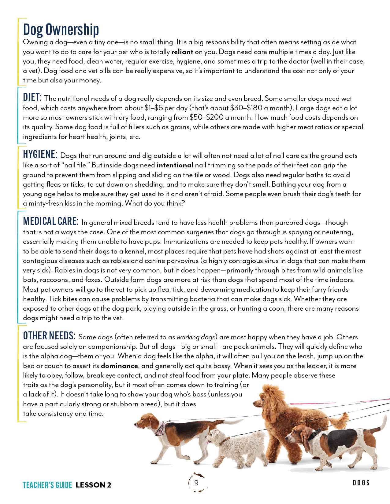 Pets Digital Bundles – Gather 'Round Homeschool