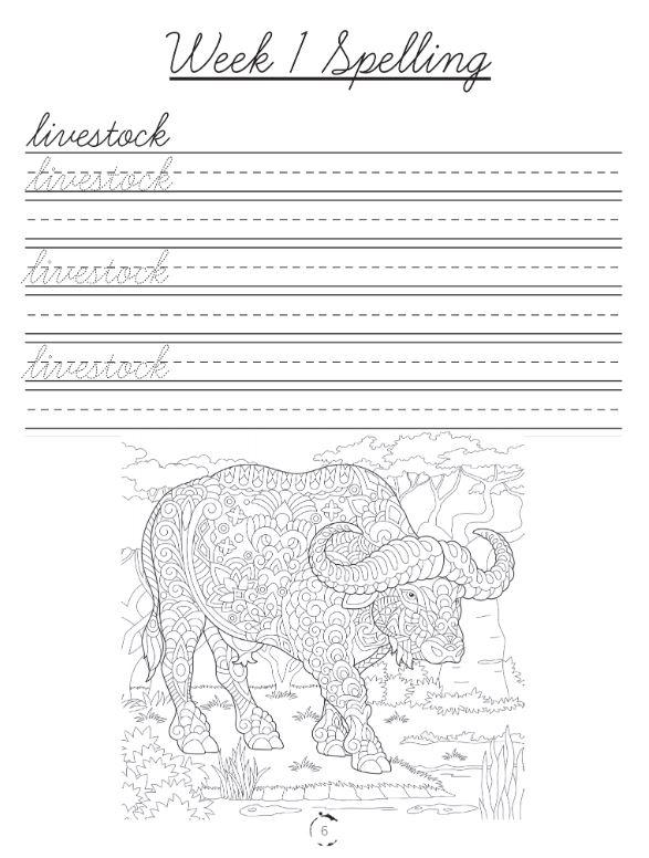 Human Body Cursive Writing Digital Notebook – Gather 'Round Homeschool