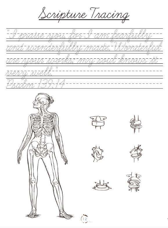 Human Body Cursive Writing Digital Notebook – Gather 'Round Homeschool