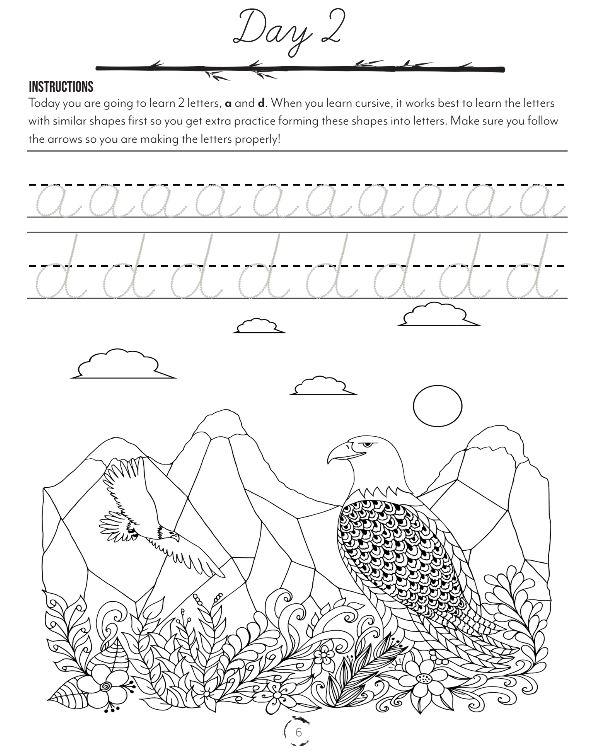 North American Birds Cursive Writing Digital Book – Gather 'Round ...