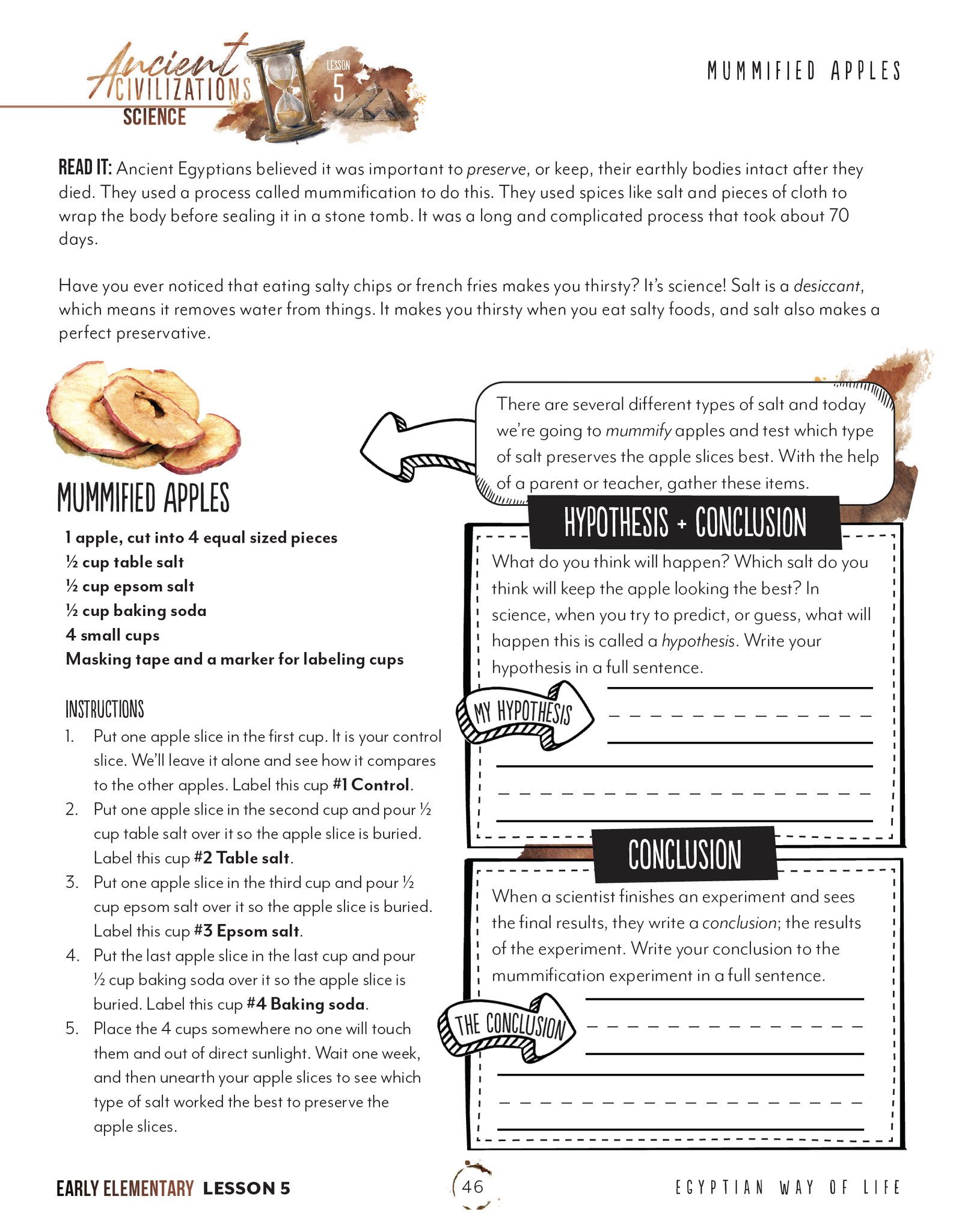 Ancient Civilizations Digital Bundles – Gather 'Round Homeschool