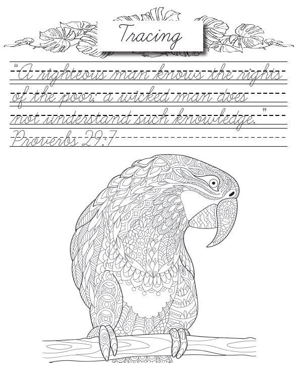 South America Cursive Writing Digital Book – Gather 'Round Homeschool