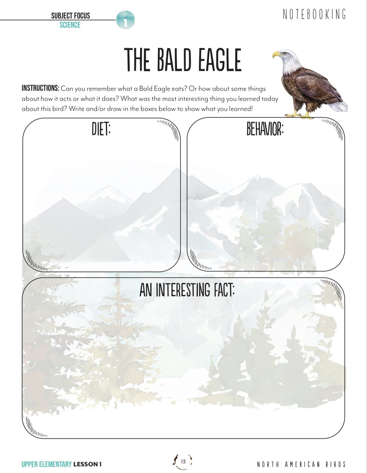 North American Birds Digital Bundles – Gather 'Round Homeschool Canada